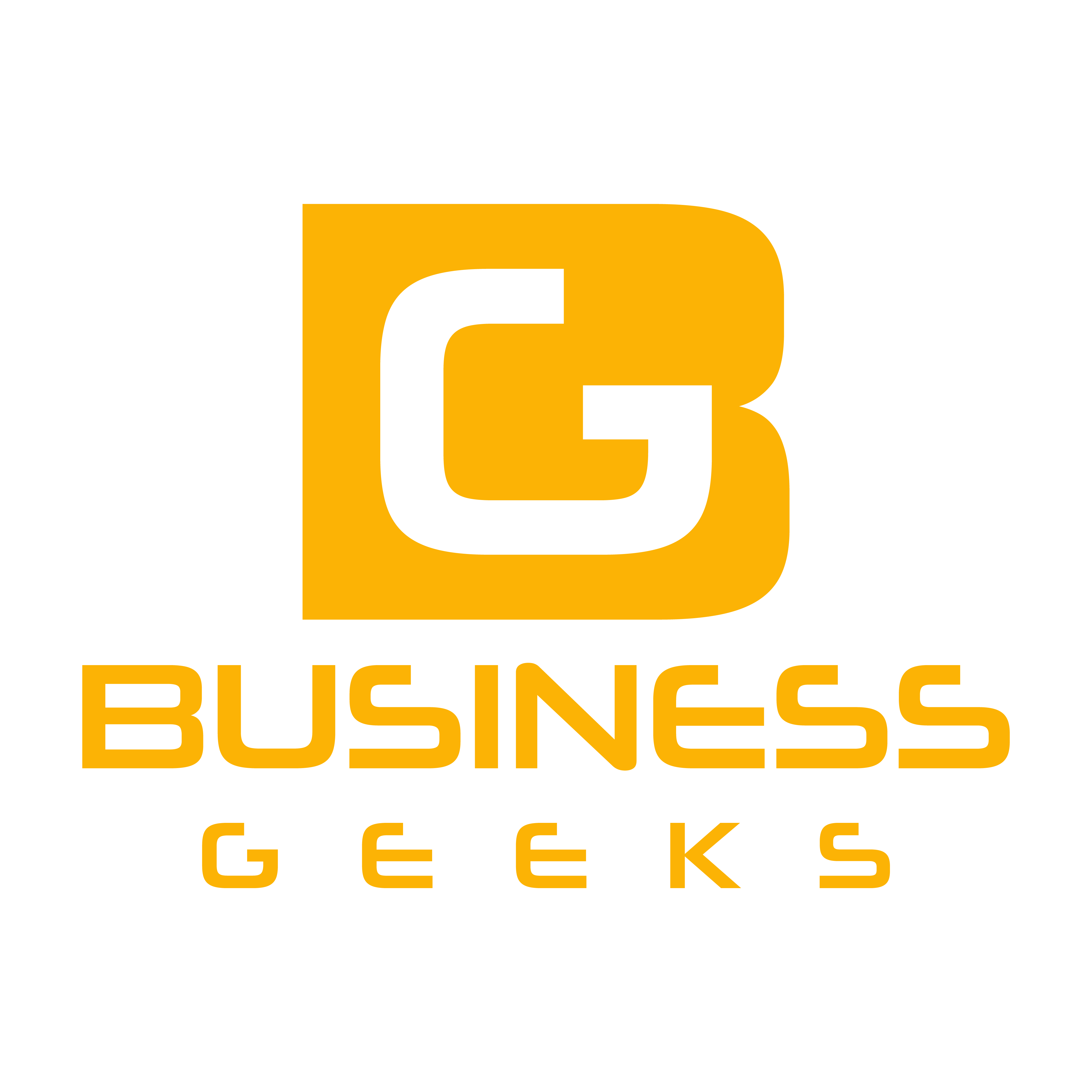 businessgeeks